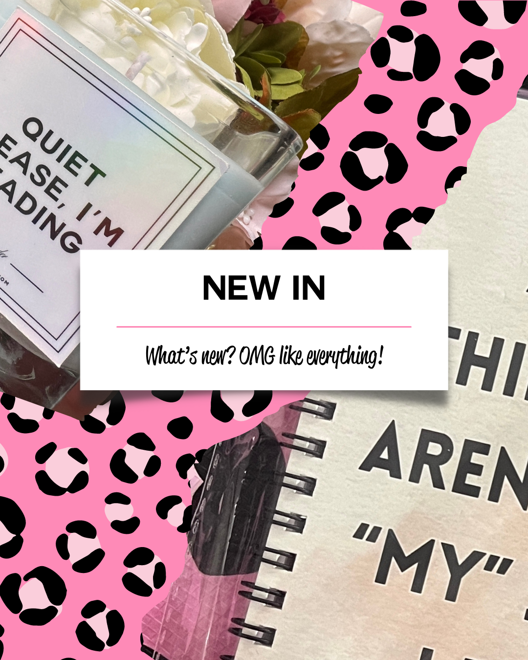 The Scouse Bird Shop