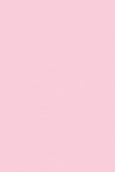 The Scouse Bird Shop